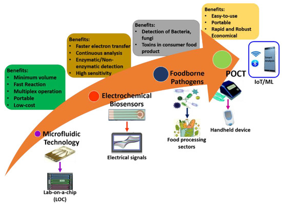 Recent Advances in Microfluidics-Based Electrochemical Sensors for Foodborne Pathogen Detection