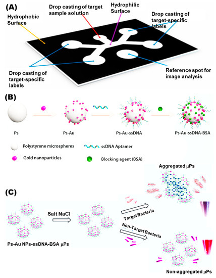 Progress in Fluorescence Biosensing and Food Safety towards Point-of ...