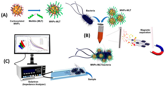 Recent Advances on Peptide-Based Biosensors and Electronic Noses for Foodborne Pathogen Detection