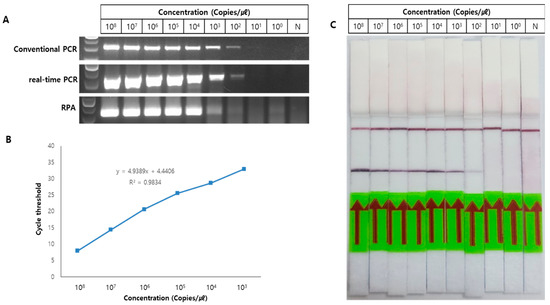 Multicenter Testing of a Simple Molecular Diagnostic System for the ...