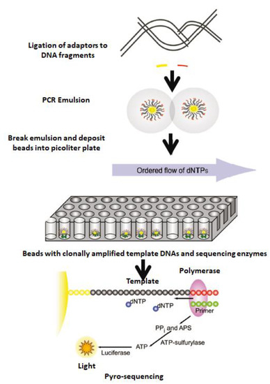 Current Advances in Nanotechnology for the Next Generation of ...