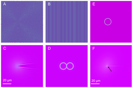 Surface Plasmon Resonance Microscopy Based on Total Internal Reflection