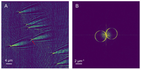 Surface Plasmon Resonance Microscopy Based on Total Internal Reflection