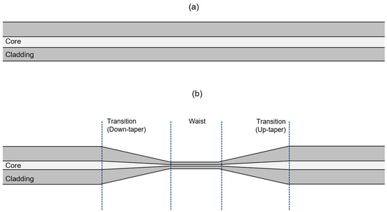 Progress and Trends of Optical Microfiber-Based Biosensors