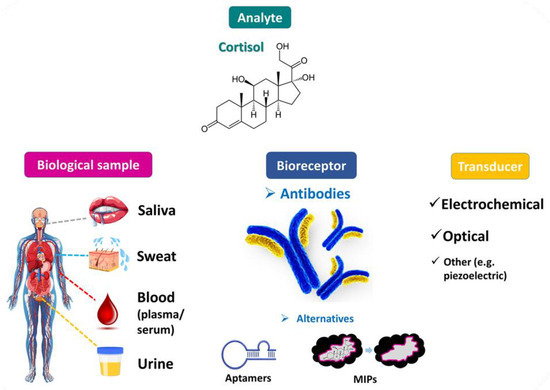Cortisol Immunosensors: A Literature Review