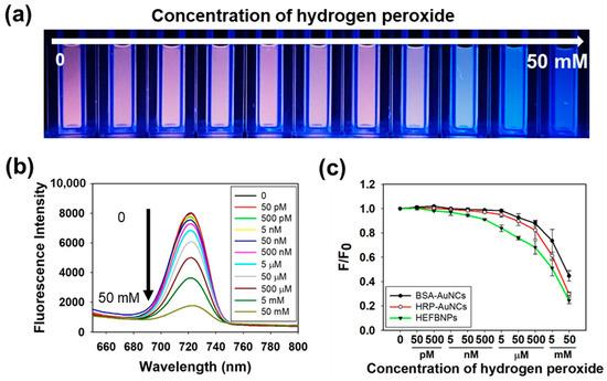 Horseradish Peroxidase-Encapsulated Fluorescent Bio-Nanoparticle for ...