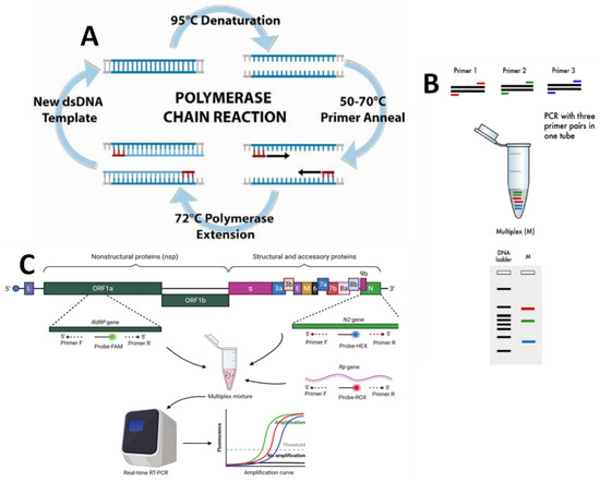 A Review of Detection Methods for Vancomycin-Resistant Enterococci (VRE ...