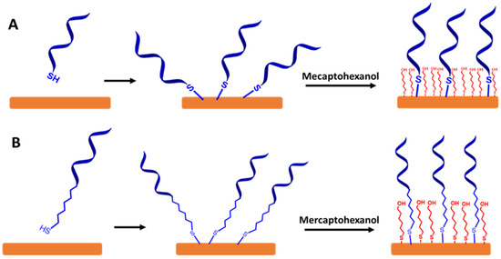 A Review of Detection Methods for Vancomycin-Resistant Enterococci (VRE ...