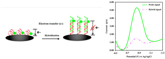 A Review of Detection Methods for Vancomycin-Resistant Enterococci (VRE ...