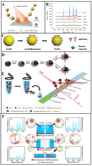 Biosensors | Free Full-Text | Multiplex Surface-Enhanced Raman Scattering: An Emerging Tool for ...