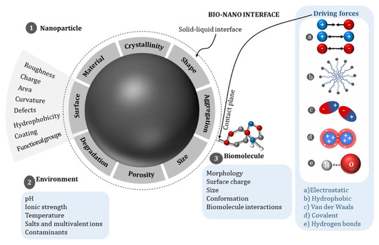 Magnetite-Based Biosensors and Molecular Logic Gates: From Magnetite ...