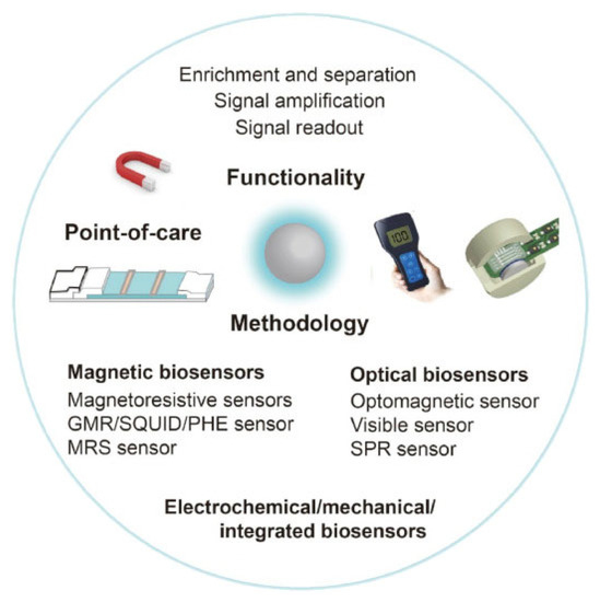 Magnetite-Based Biosensors and Molecular Logic Gates: From Magnetite ...