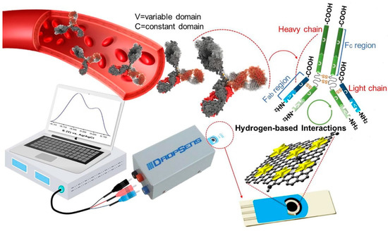 A Brief Review of Graphene-Based Biosensors Developed for Rapid ...