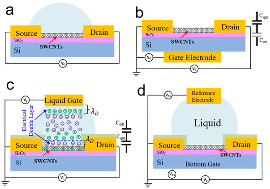Toward the Commercialization of Carbon Nanotube Field Effect Transistor Biosensors
