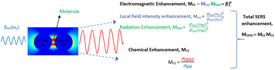 Recent Trends in SERS-Based Plasmonic Sensors for Disease Diagnostics ...