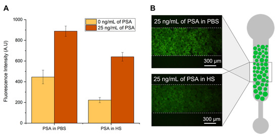 Combined Use of Ionic Liquid-Based Aqueous Biphasic Systems and ...