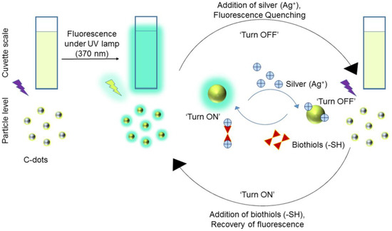 Review on Carbon Dot-Based Fluorescent Detection of Biothiols