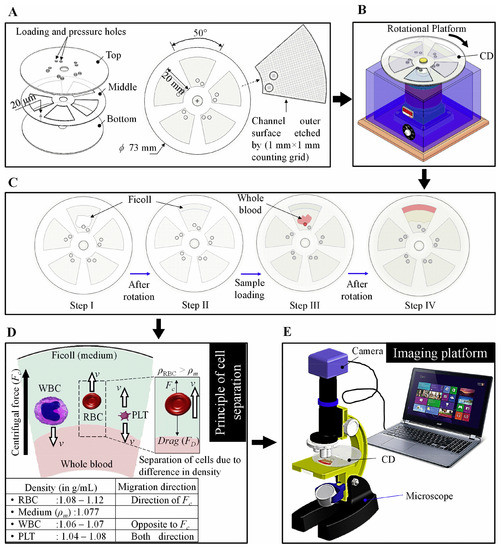 Last Trends in Point-of-Care (POC) Diagnostics for the Management of ...