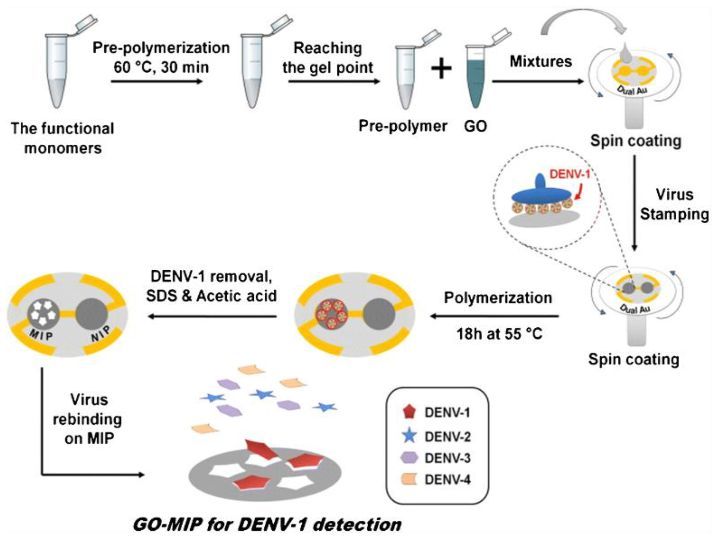 Use of Graphene and Its Derivatives for the Detection of Dengue Virus