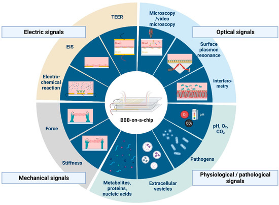 The Use of Sensors in Blood-Brain Barrier-on-a-Chip Devices: Current Practice and Future Directions