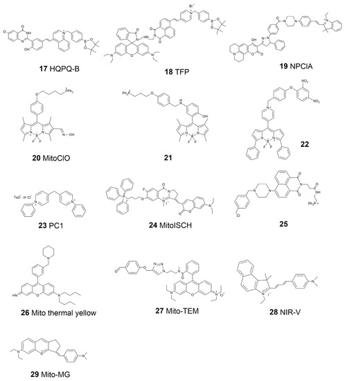 Recent Development of Advanced Fluorescent Molecular Probes for ...