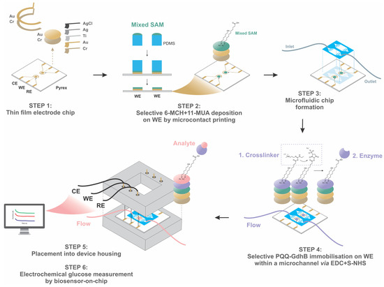 Microfluidic Electrochemical Glucose Biosensor with In Situ Enzyme ...