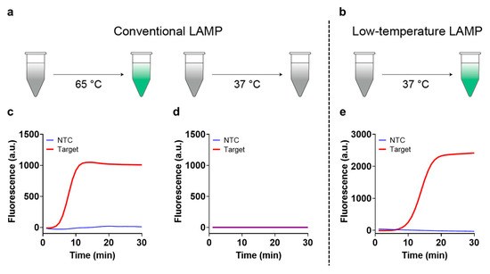 Low-Temperature Loop-Mediated Isothermal Amplification Operating at ...