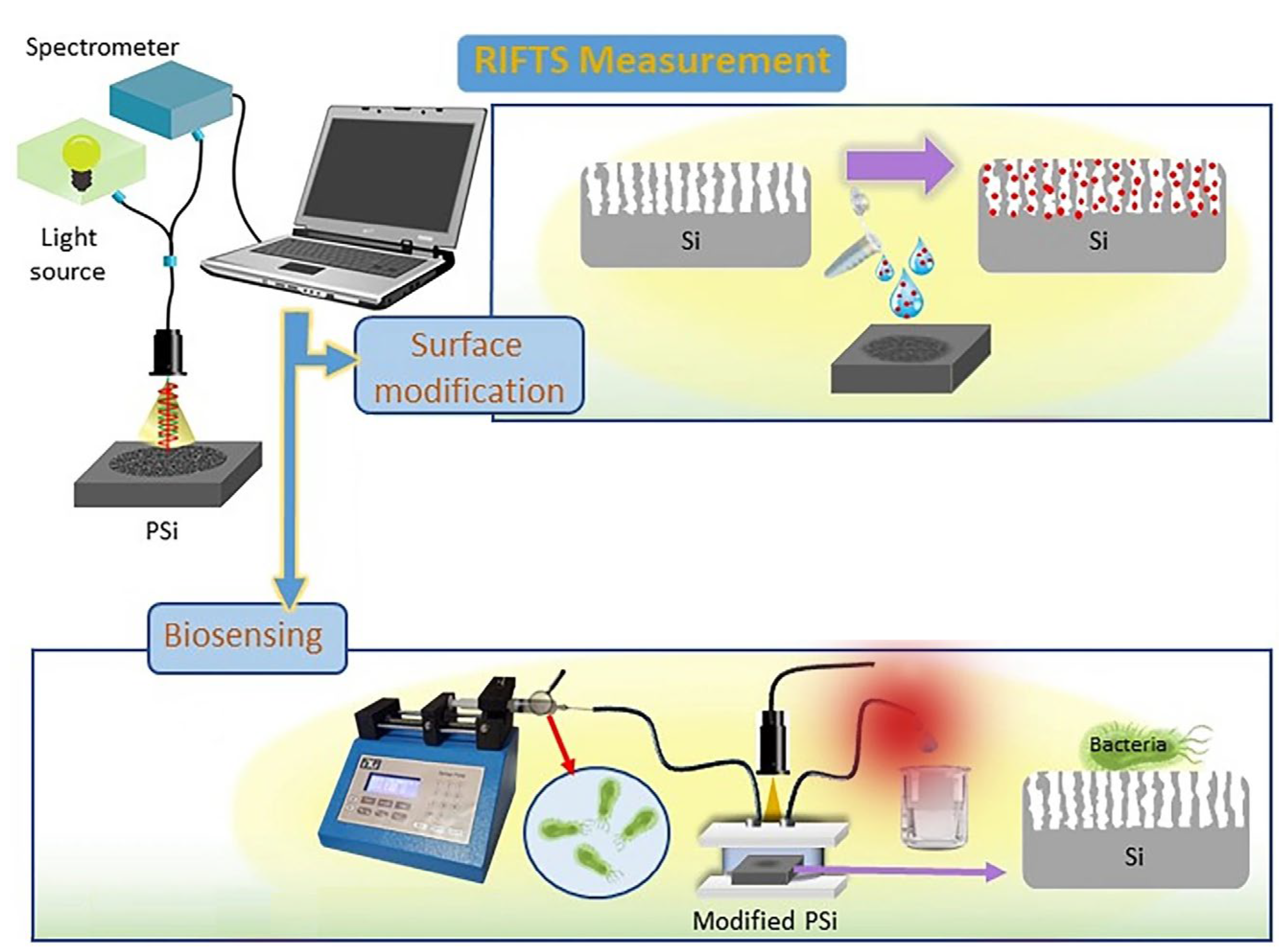 Biosensors | Free Full-Text | Optical Biosensors and Their Applications for the Detection of ...