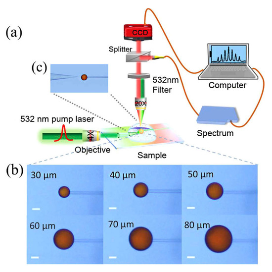 Optical Biosensors and Their Applications for the Detection of Water ...
