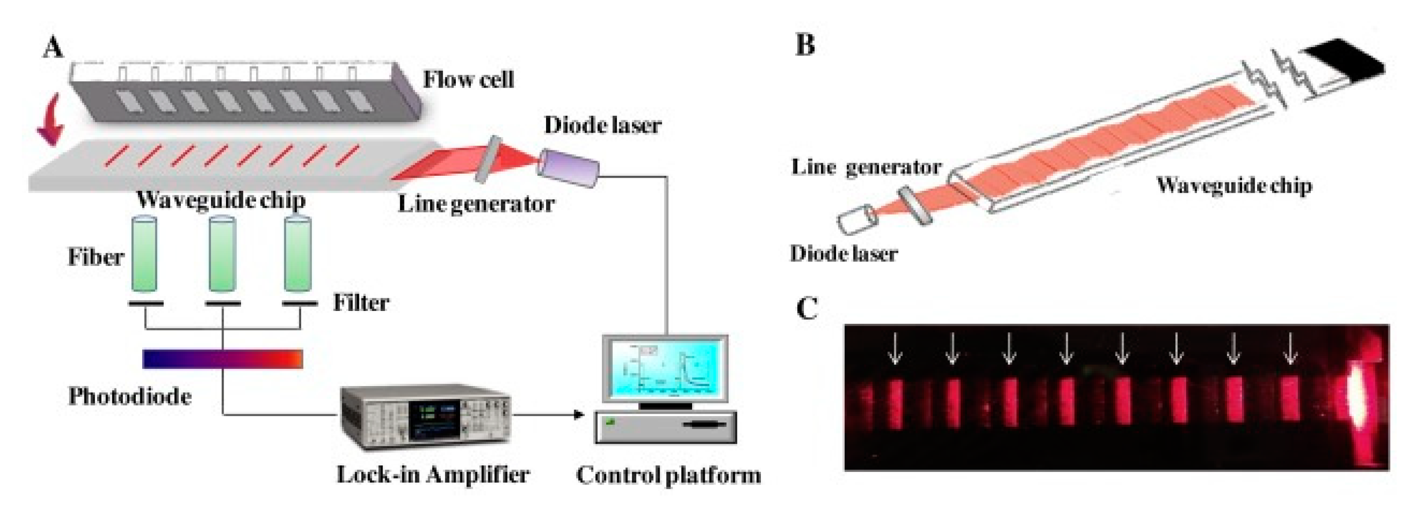 Optical Biosensors and Their Applications for the Detection of Water ...