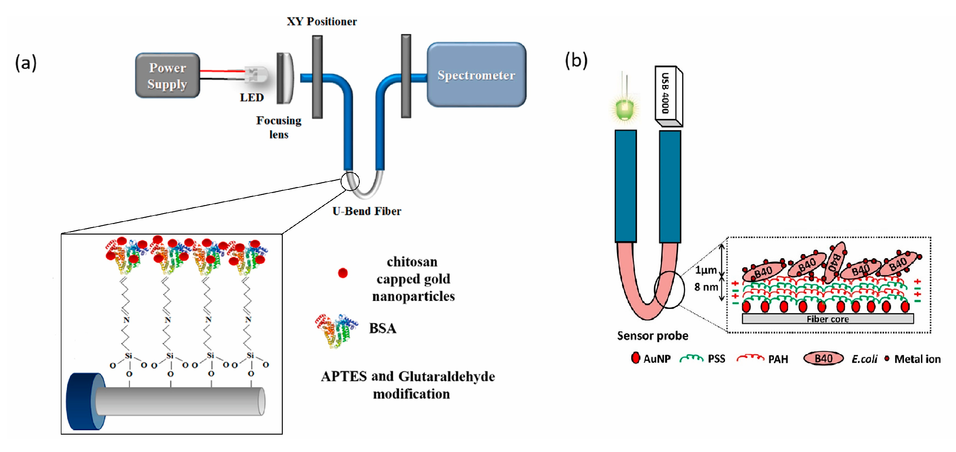 Optical Biosensors and Their Applications for the Detection of Water ...