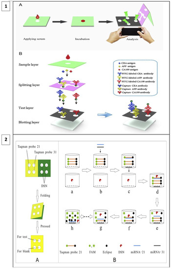 Biosensors | Free Full-Text | Biomarker Detection in Early Diagnosis of Cancer: Recent ...