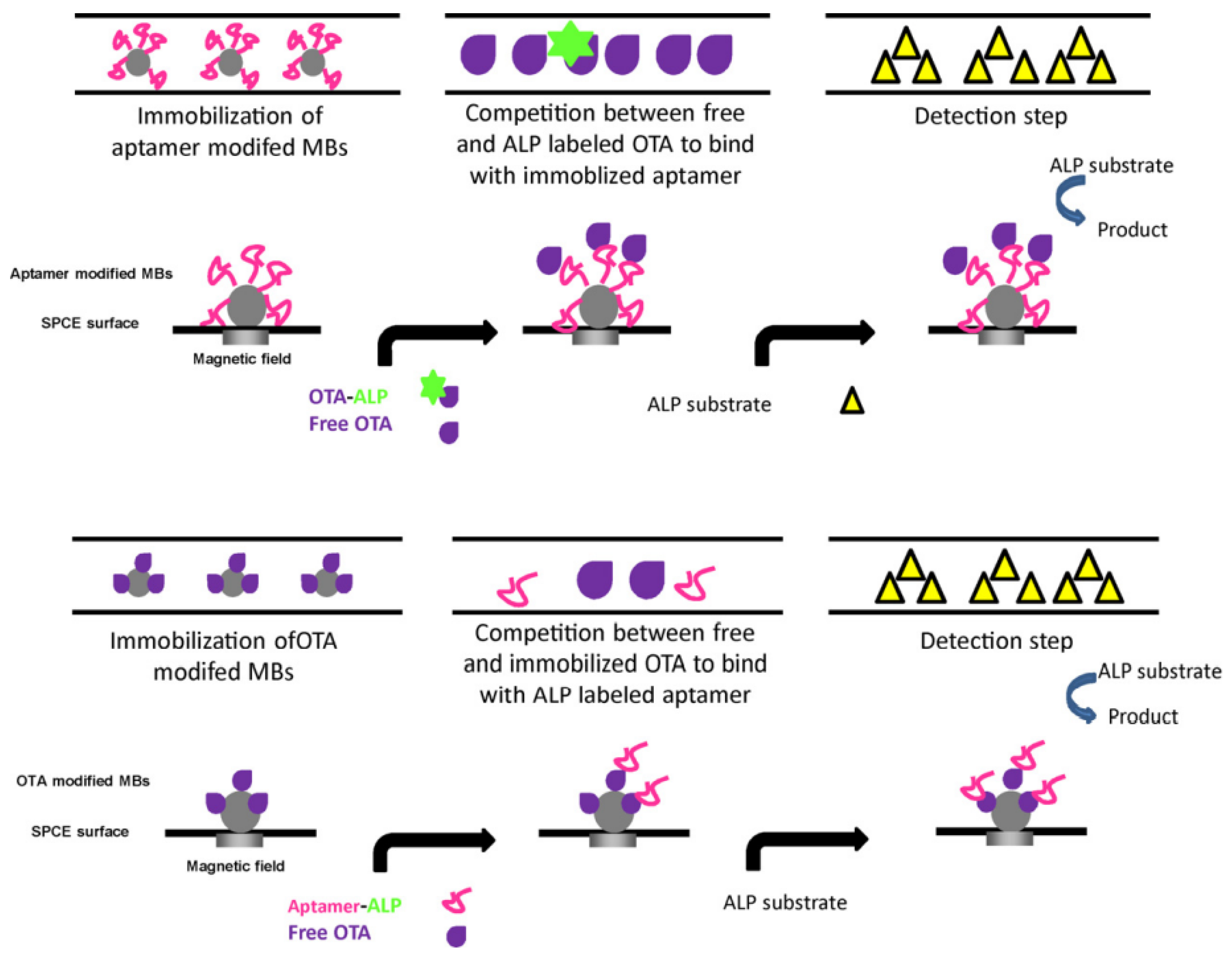 Recent Advances in Recognition Receptors for Electrochemical Biosensing ...