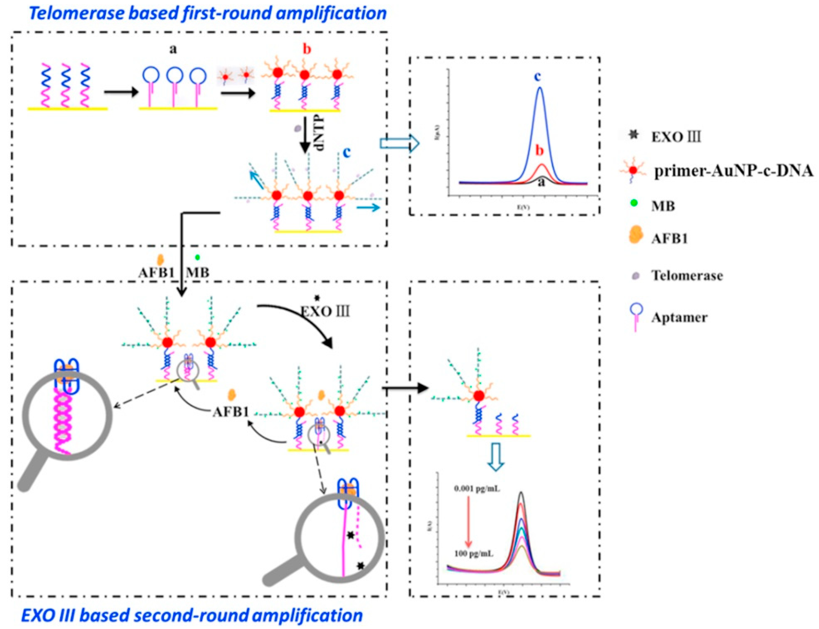 Recent Advances in Recognition Receptors for Electrochemical Biosensing ...
