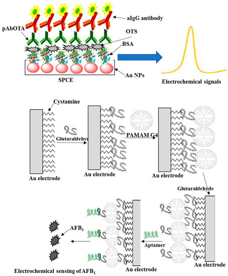 Recent Advances in Recognition Receptors for Electrochemical Biosensing ...