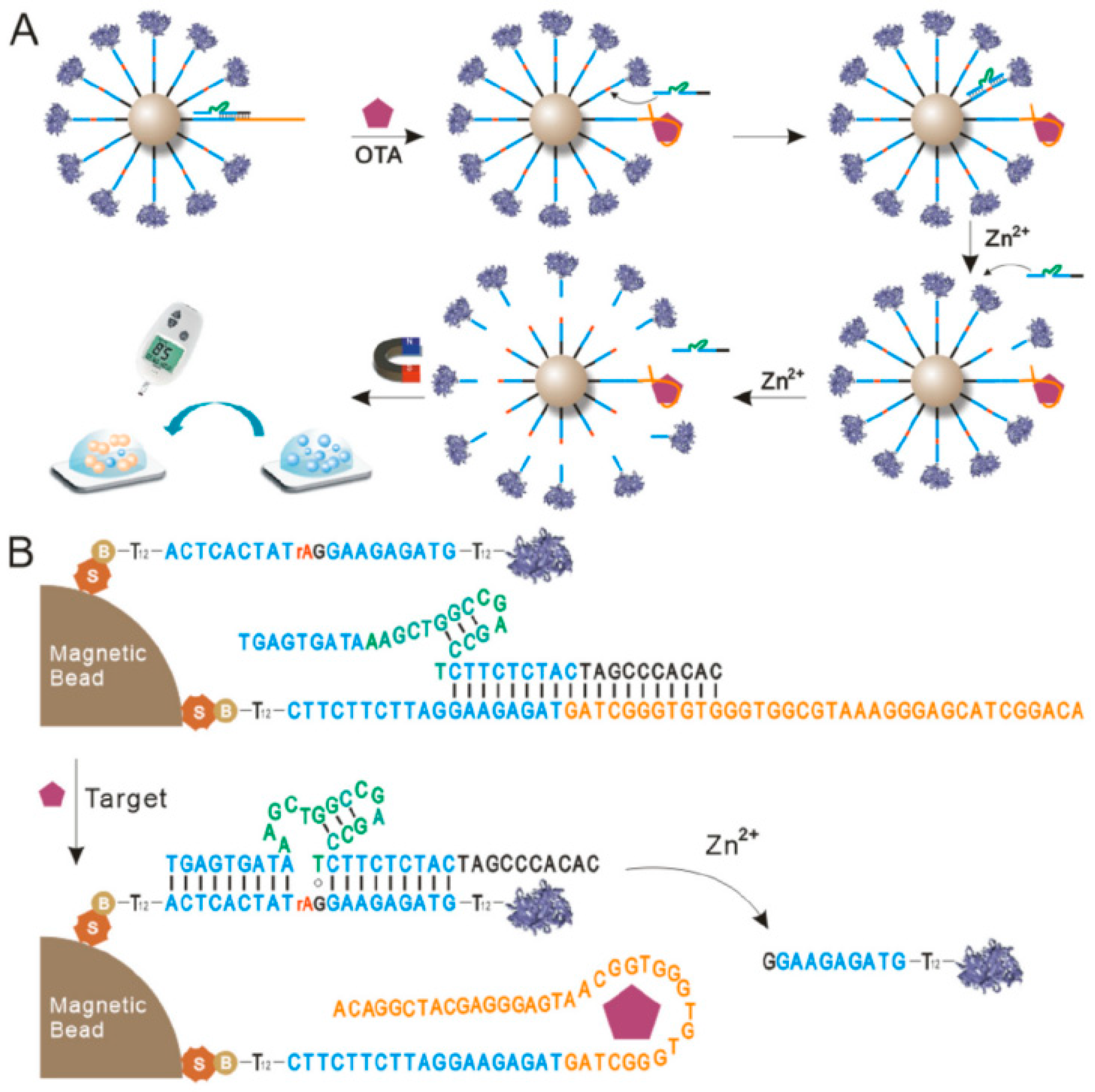 Recent Advances in Recognition Receptors for Electrochemical Biosensing ...
