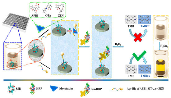 Recent Advances in Recognition Receptors for Electrochemical Biosensing ...