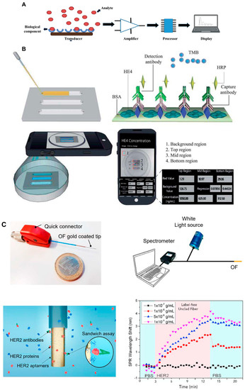 Surface Plasmon Resonance (SPR) Sensor for Cancer Biomarker Detection