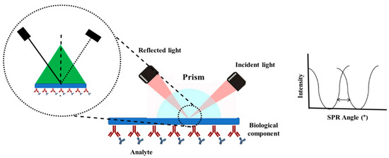 Surface Plasmon Resonance (SPR) Sensor for Cancer Biomarker Detection
