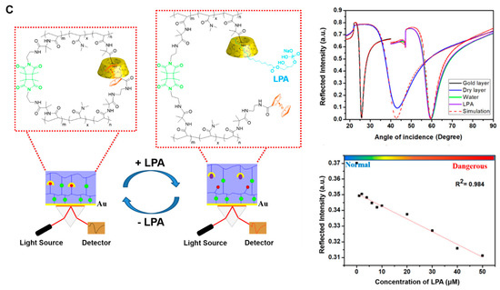 Surface Plasmon Resonance (SPR) Sensor for Cancer Biomarker Detection
