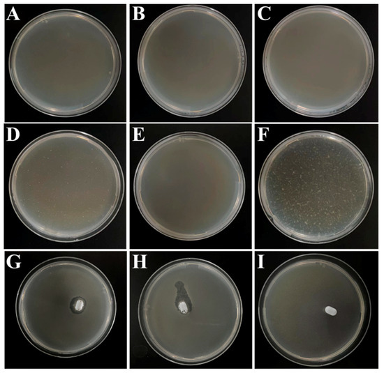 Dual-Mode Biosensor for Simultaneous and Rapid Detection of Live and ...