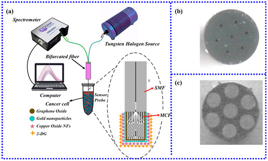 Recent Advancements of LSPR Fiber-Optic Biosensing: Combination Methods, Structure, and Prospects