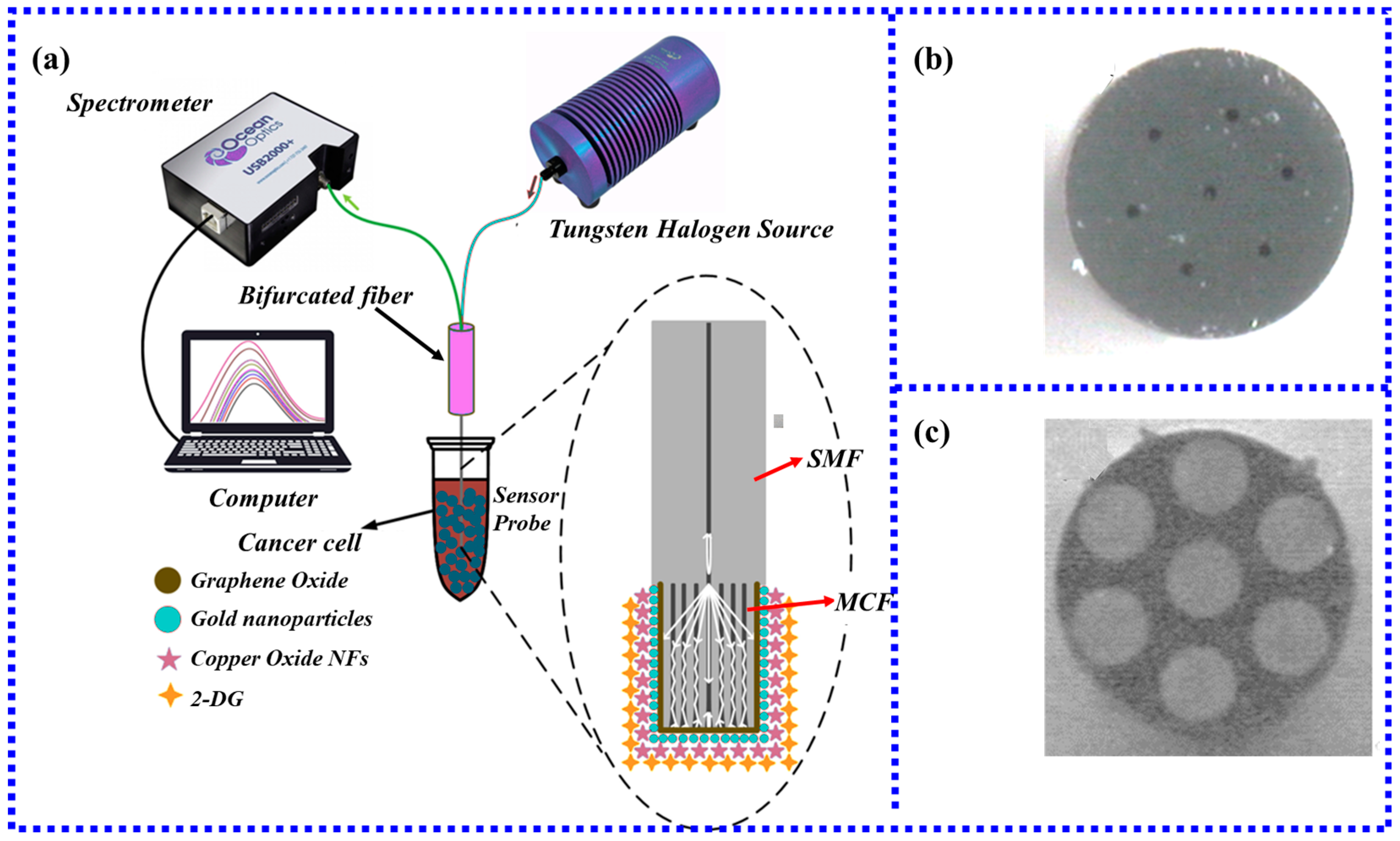 Recent Advancements of LSPR Fiber-Optic Biosensing: Combination Methods, Structure, and Prospects