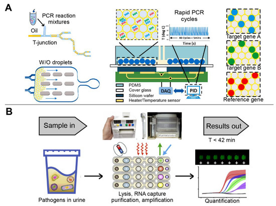 Multiplex Detection of Infectious Diseases on Microfluidic Platforms
