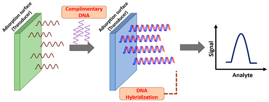 A Short Review on Miniaturized Biosensors for the Detection of Nucleic ...