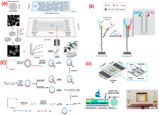 A Short Review on Miniaturized Biosensors for the Detection of Nucleic Acid Biomarkers