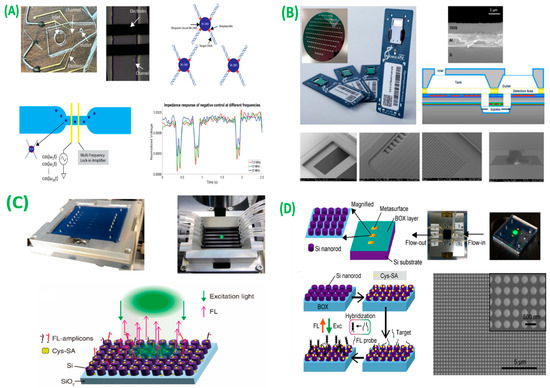 A Short Review on Miniaturized Biosensors for the Detection of Nucleic ...