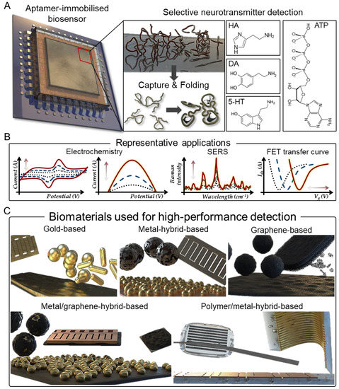 Recent Advances in Aptamer-Based Sensors for Sensitive Detection of ...