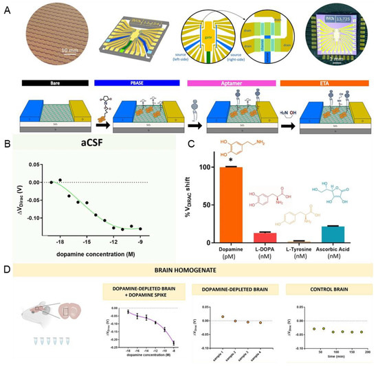 Recent Advances in Aptamer-Based Sensors for Sensitive Detection of ...