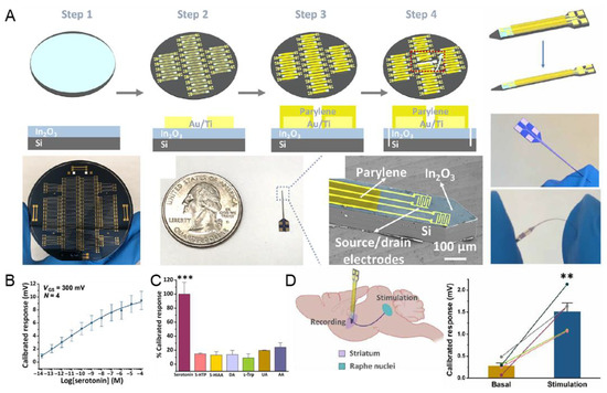 Recent Advances in Aptamer-Based Sensors for Sensitive Detection of ...